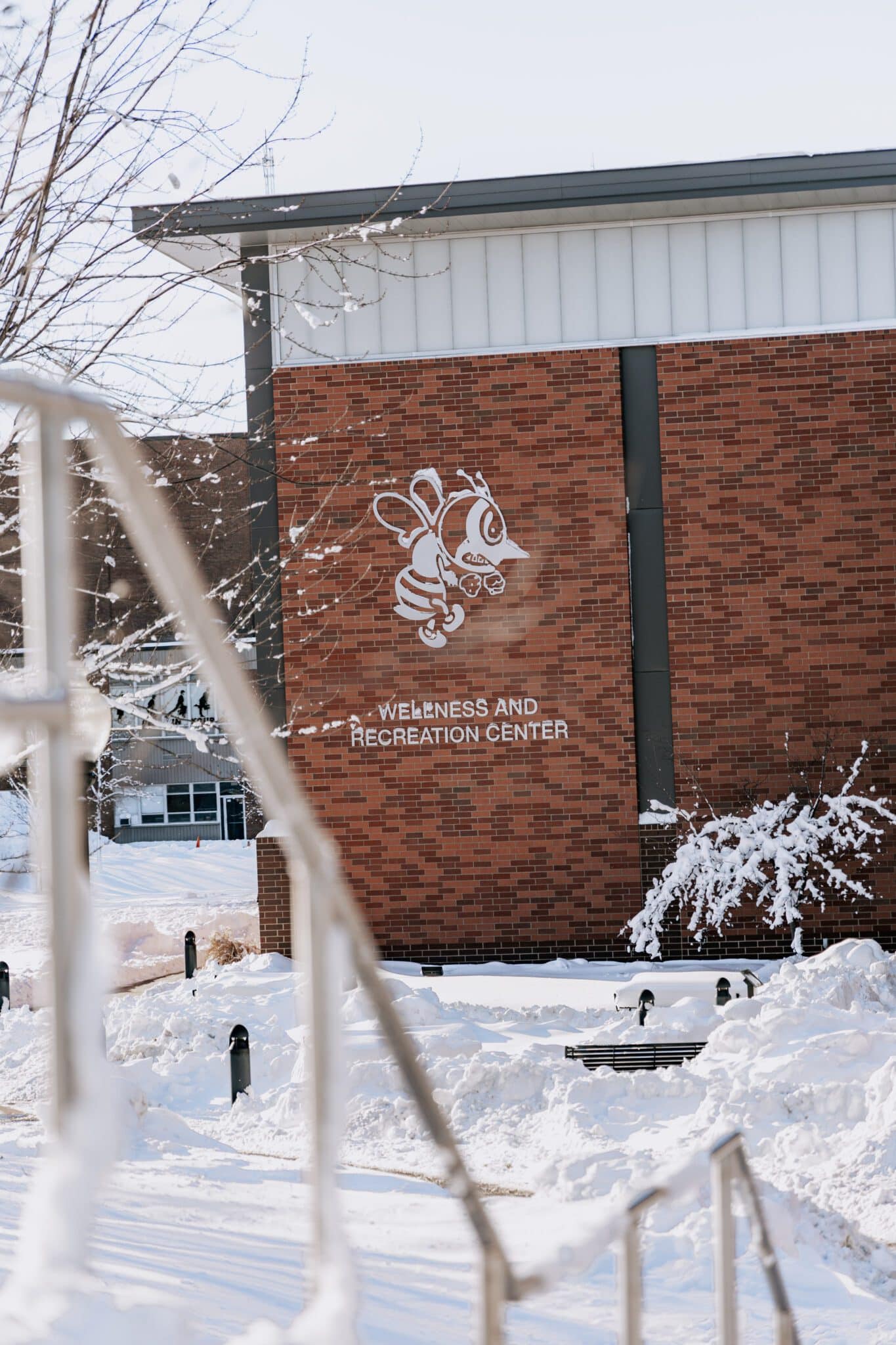 SAU Counseling Center’s Winter Survival Guide | SAU - The HIVE