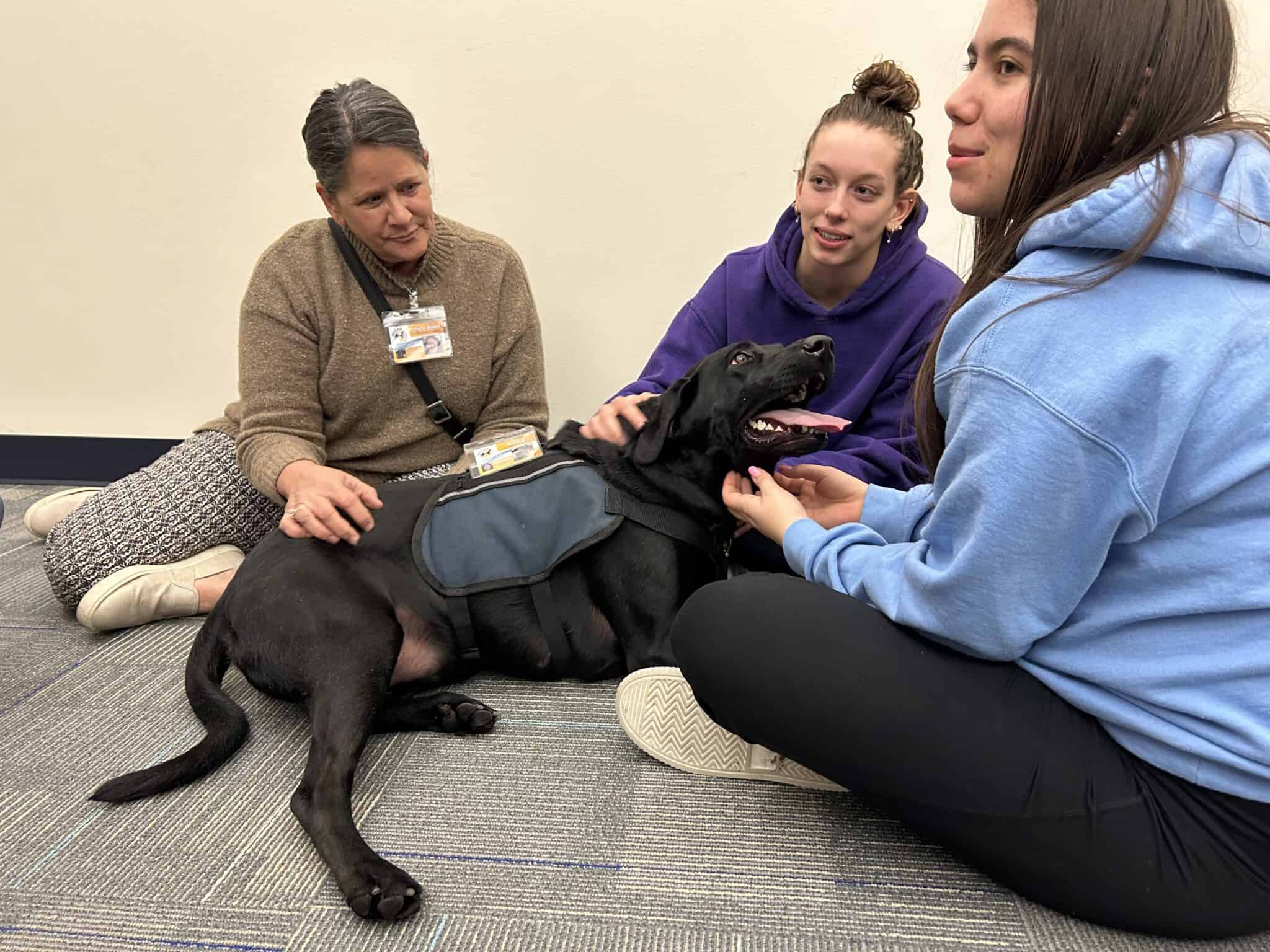 Round of A-Paws for Therapy Dogs at SAU | SAU - The HIVE